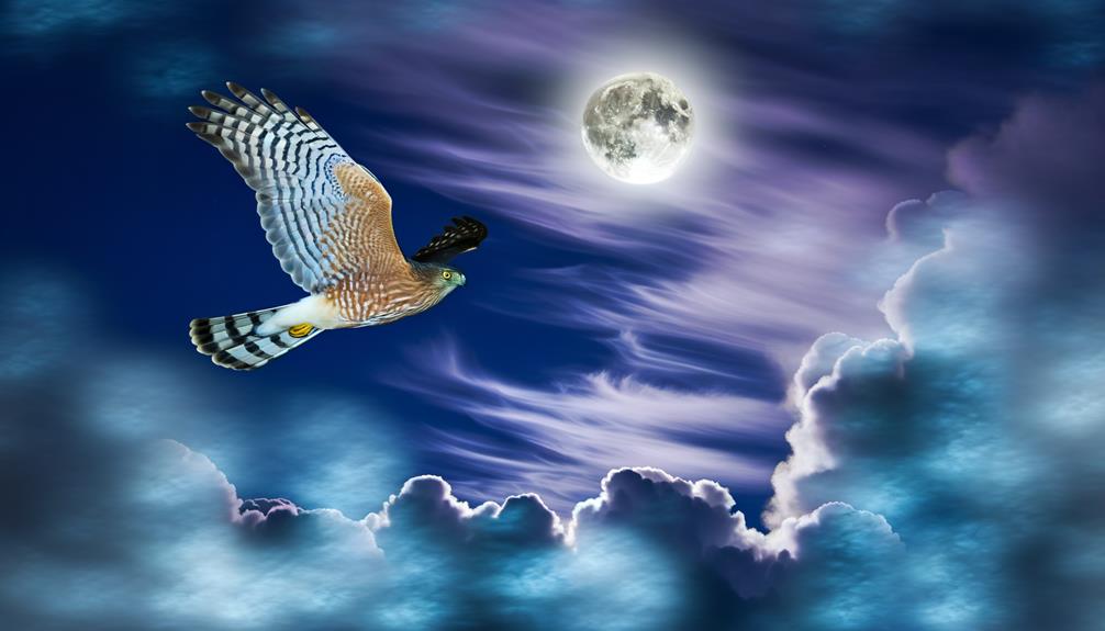 Cooper's Hawk Spiritual Meaning: Precision And Power