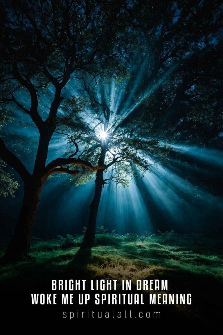 Bright Light In Dream Woke Me Up Spiritual Meaning: Explain